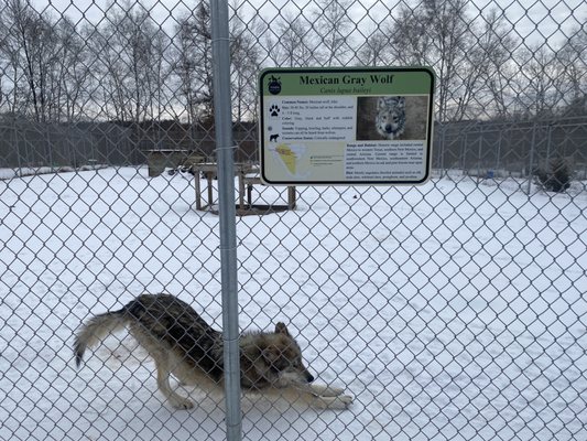 WILDLIFE SCIENCE CENTER - Updated January 2026 - 14 Photos - 22830 ...