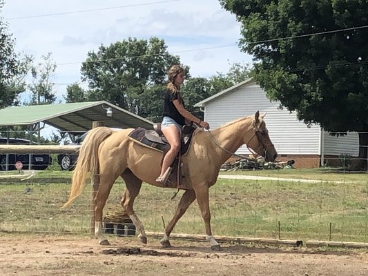 SUN AND MOON RANCH - Updated October 2025 - 1816 Lamb Rd, Lexington ...