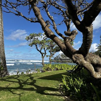 TURTLE BAY BEACH - Updated June 2025 - 391 Photos & 152 Reviews - 57-35 ...