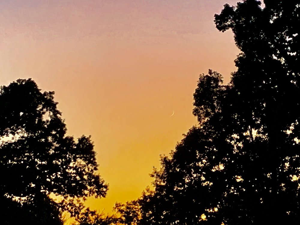 SANDY RIDGE RESERVATION - Updated October 2025 - 19 Photos - 6195 Otten ...