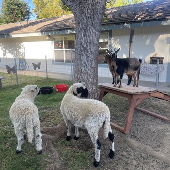 MURRIETA RANCH PRE-SCHOOL - Updated September 2025 - 35 Photos & 50 ...