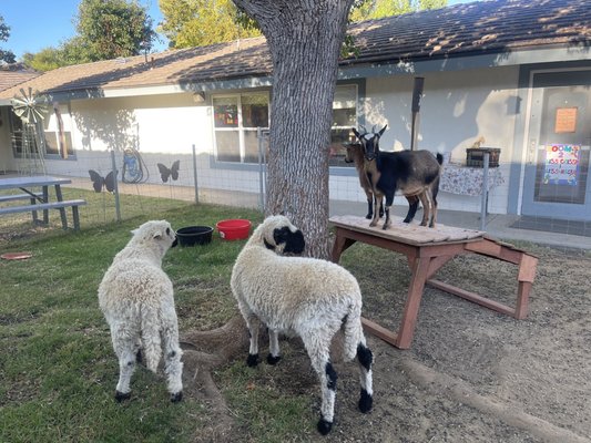 MURRIETA RANCH PRE-SCHOOL - Updated December 2025 - 35 Photos & 50 ...