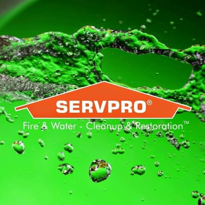 SERVPRO OF NORTH SEMINOLE COUNTY - Updated April 2025 - 28 Photos ...