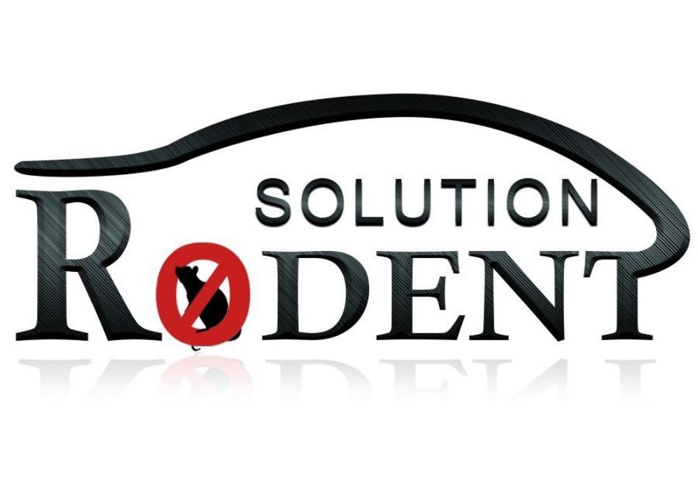 RODENT SOLUTION - Updated December 2025 - 56 Photos & 41 Reviews - Los ...