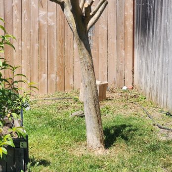 THE MCDONALD’S TREE & LANDSCAPING - Updated December 2025 - 22 Photos ...