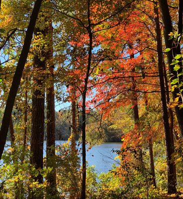 LAKE JOHNSON PARK - 233 Photos & 128 Reviews - Parks - 4601 Avent Ferry ...