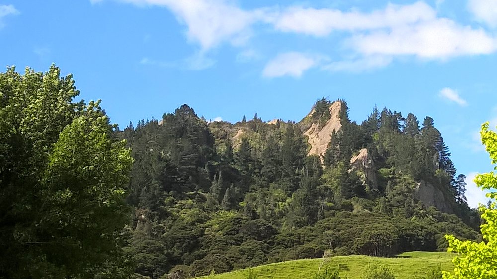 TINUI STATION HOMESTEAD - 16 Photos - 4195 Masterton Castlepoint Rd ...