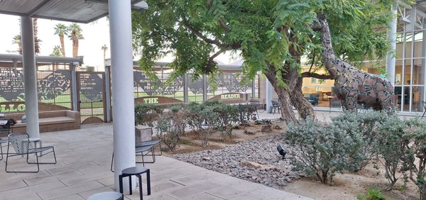 PALM DESERT LIBRARY - Updated December 2025 - 14 Photos & 25 Reviews ...