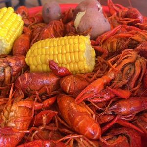 THE CRAWFISH SPOT - 78 Photos & 104 Reviews - 1899 W Pinhook Rd ...