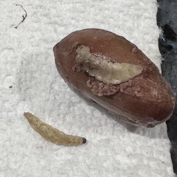 SEAFOOD RANCH GRILL - Updated June 2025 - 132 Photos & 106 Reviews ...