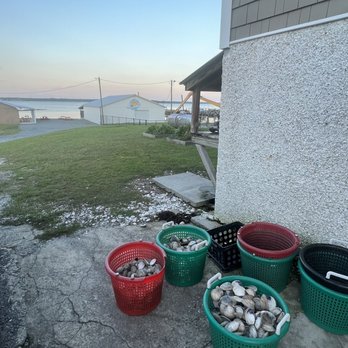 RIVERVIEW CAFE - Updated August 2024 - 274 Photos & 480 Reviews - 119 ...