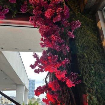 TAVERNA VERANDA - Updated October 2024 - 638 Photos & 250 Reviews - 725 ...