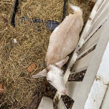 EVERGLADES OUTPOST - Updated December 2025 - 371 Photos & 102 Reviews ...