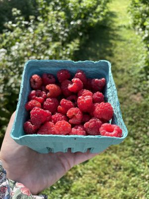 3 BIRDS BERRY FARM - Updated October 2025 - 1859 Brooksfield Rd ...