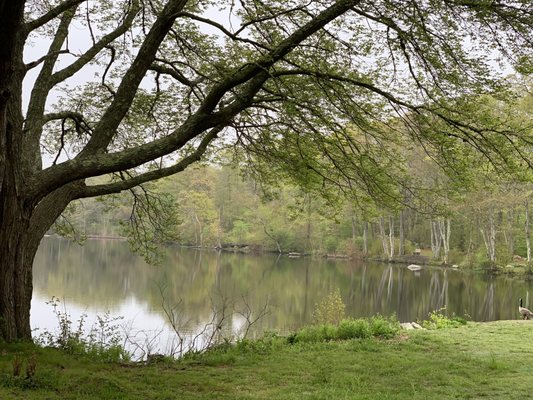 SIMMONS MILL POND MANAGEMENT AREA - 20 Photos - John Dyer Rd, Little ...