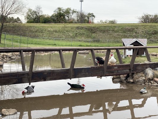 COUNTRY SUN FARMS & GREENHOUSES - Updated September 2024 - 23 Photos ...