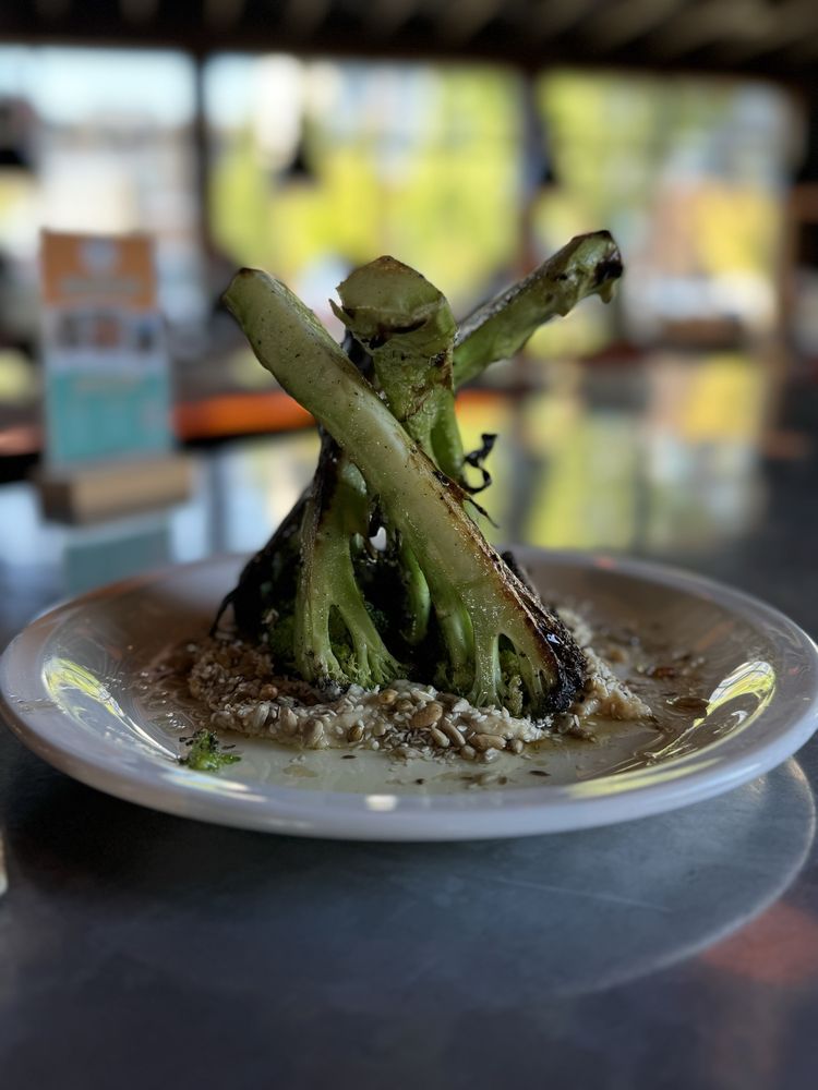 STOUP BREWING KENMORE - Updated January 2026 - 168 Photos & 161 Reviews ...