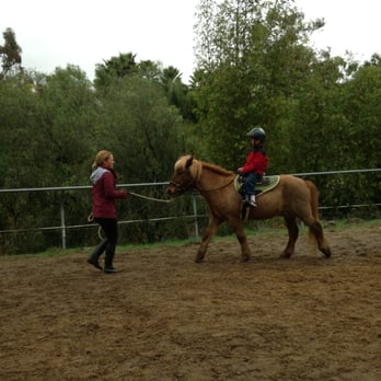 LAUGHING PONY RESCUE - Updated December 2025 - 16 Photos & 18 Reviews ...