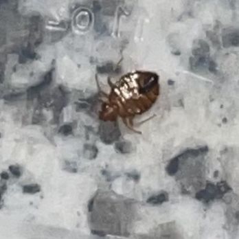 APOLLO TEMPE - Updated August 2025 - 69 Photos & 87 Reviews - 1100 E ...