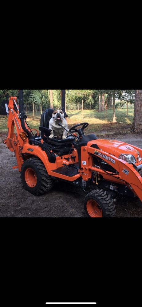 BULLDOG CONTRACTING - Updated April 2026 - 23 Photos - Jupiter, Florida ...