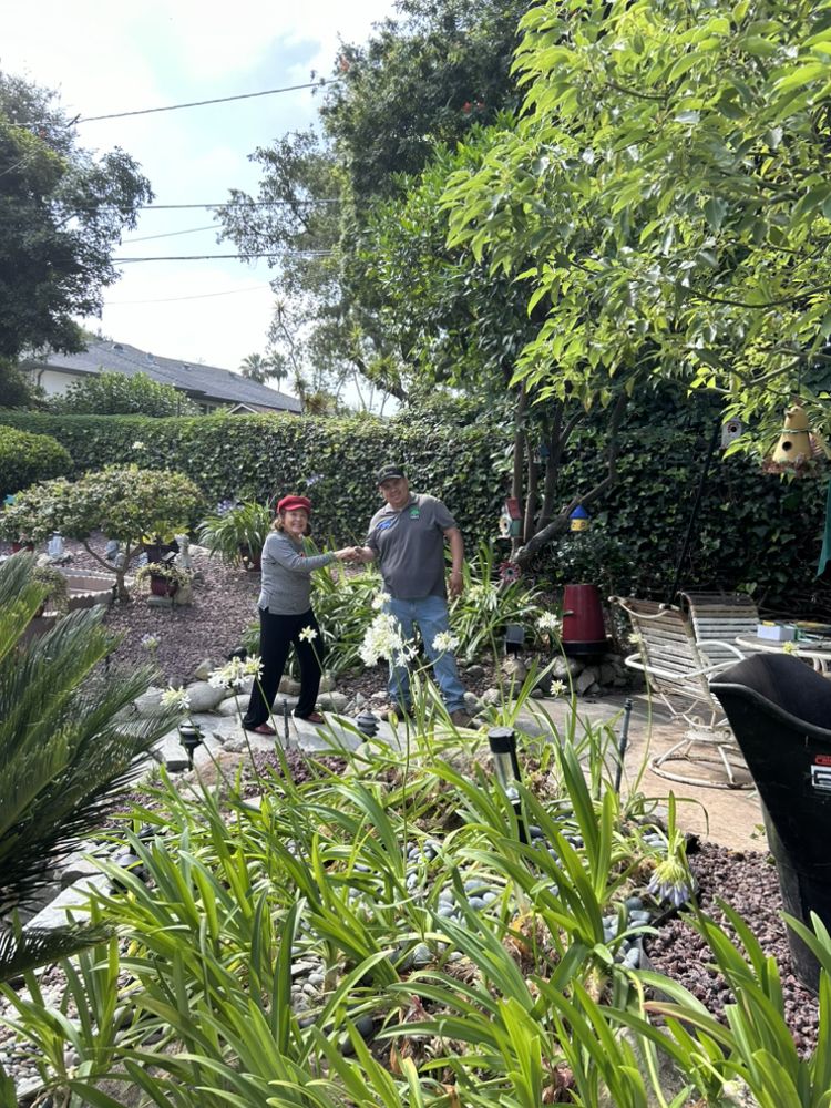 POLY TIMBER TREE SERVICE - Updated August 2024 - 163 Photos & 119 ...