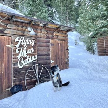THE FLYING MOON CABINS - Updated December 2025 - 74 Photos & 31 Reviews ...