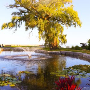 SOUTH SHELL PARK - 3376 Lakeshore Rd W, Oakville, Ontario - Parks - Yelp