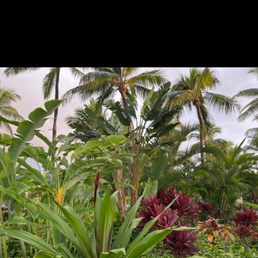 BEACH TREE RESTAURANT BAR AND LOUNGE - Updated December 2025 - 632 ...