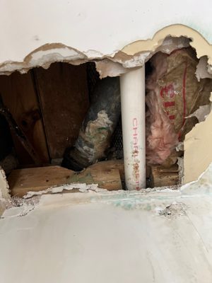 APOLLO HOME - Updated August 2024 - 54 Photos & 157 Reviews - 4538 ...