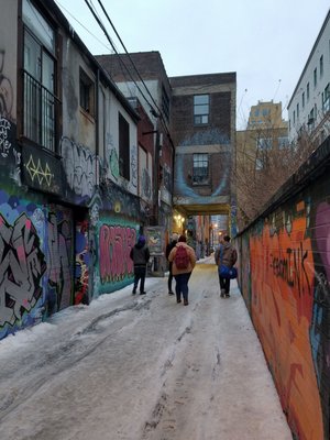GRAFFITI ALLEY - 1276 Photos & 60 Reviews - Public Art - 513 Queen ...