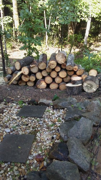 GOMEZ TREE SERVICE - Updated December 2025 - 55 Linsley Way, Covington ...