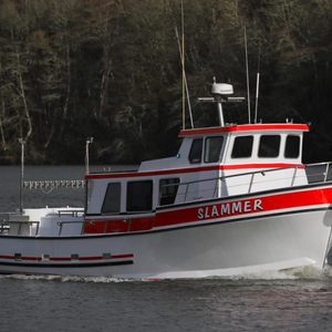 MUTINEER CHARTERS - Updated June 2025 - 18 Photos - 321 E Dock St ...