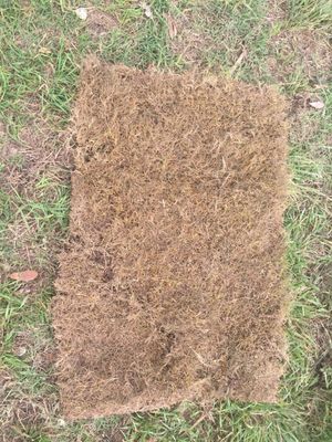 KING RANCH TURFGRASS - Updated December 2025 - 26 Photos & 65 Reviews ...