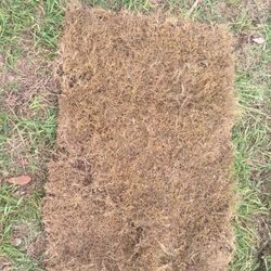 KING RANCH TURFGRASS - 26 Photos & 57 Reviews - Austin, Texas ...