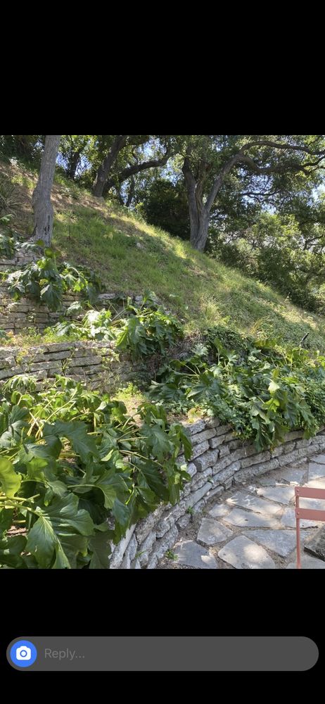 LOPEZ LANDSCAPING - Updated September 2025 - 31 Photos - Altadena ...