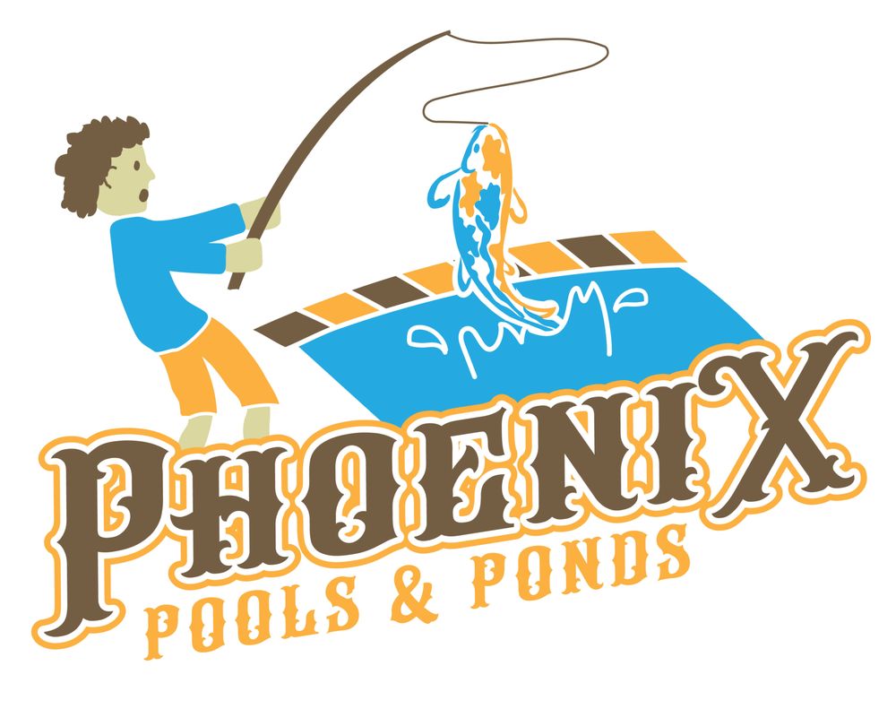 PHOENIX POOLS AND PONDS - Updated August 2024 - Peoria, Arizona - Pool ...