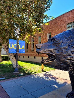 UCLA STORE - HILL TOP SHOP - Updated September 2025 - 55 Photos & 15 ...