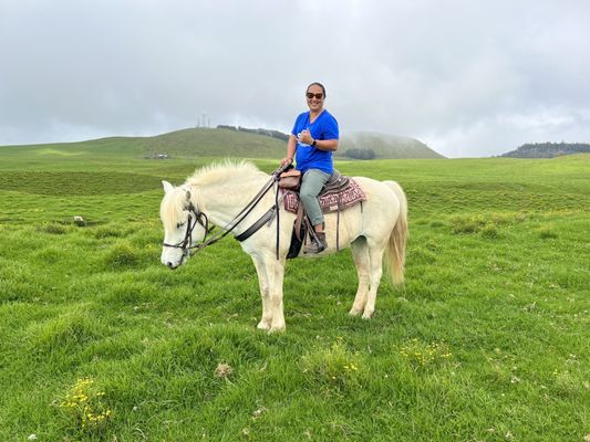 NA’ALAPA STABLES - Updated October 2025 - 208 Photos & 117 Reviews - 59 ...