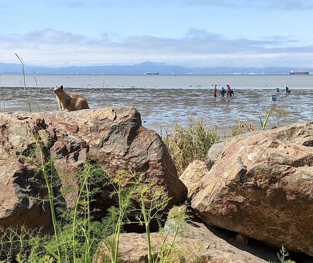 ALAMEDA BEACH - Updated September 2025 - 472 Photos & 161 Reviews ...