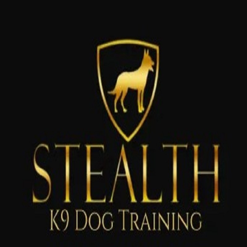 STEALTH K9 DOG TRAINING - Updated October 2025 - 3710 Colgate St ...