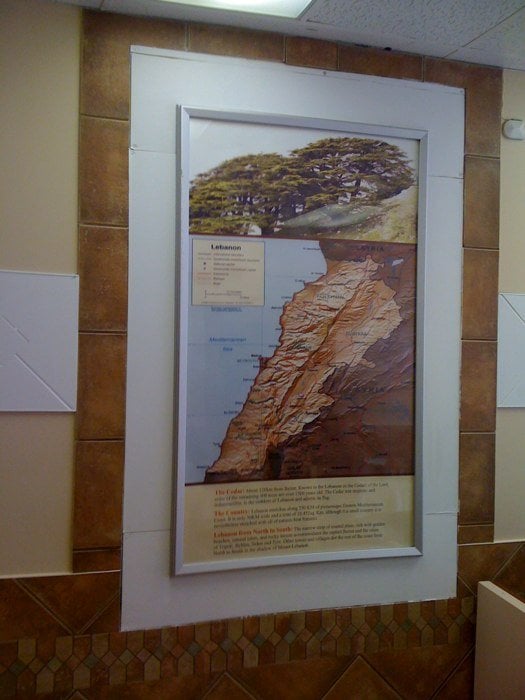 THE CEDAR TREE RESTAURANT - 12 Photos & 42 Reviews - 183 Main Street E ...