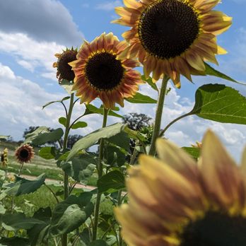 ROCKBERRY RANCH - Updated September 2025 - 159 Photos & 22 Reviews ...