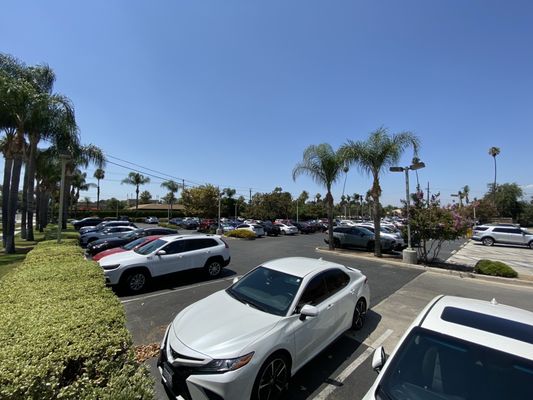 PARKVIEW MEDICAL GROUP - Updated January 2026 - 24 Photos & 19 Verified ...