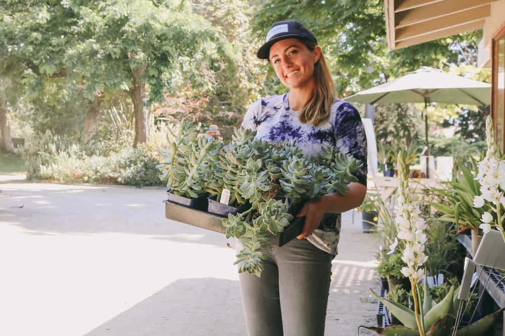 SUBLIME SETUP - Updated November 2025 - 51 Photos - San Clemente, California - Landscape ...