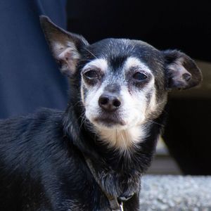 EDISON LONG BEACH - Updated October 2025 - 101 Photos & 54 Reviews ...