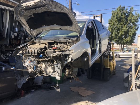 ALL NISSAN - Updated December 2025 - 47 Photos - 826 E Washington Ave ...