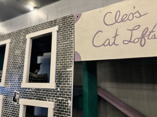 CLEO’S CAT CAFE - Updated August 2025 - 27 Photos - 134 Bus Terminal Rd, Oak Ridge, Tennessee ...