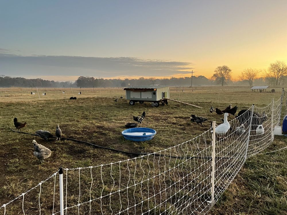 THE HOMESTEAD AT POSSUM JUNCTION - Updated March 2024 - 35 Photos ...