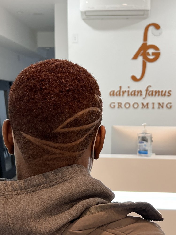 ADRIAN FANUS GROOMING - 191 Photos & 87 Reviews - 651 Bushwick Ave ...