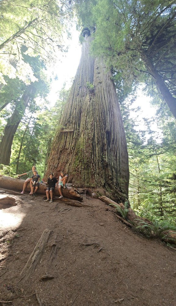 ALIGN INTEGRATED MEDICAL CLINIC - Updated September 2025 - 21 Reviews ...